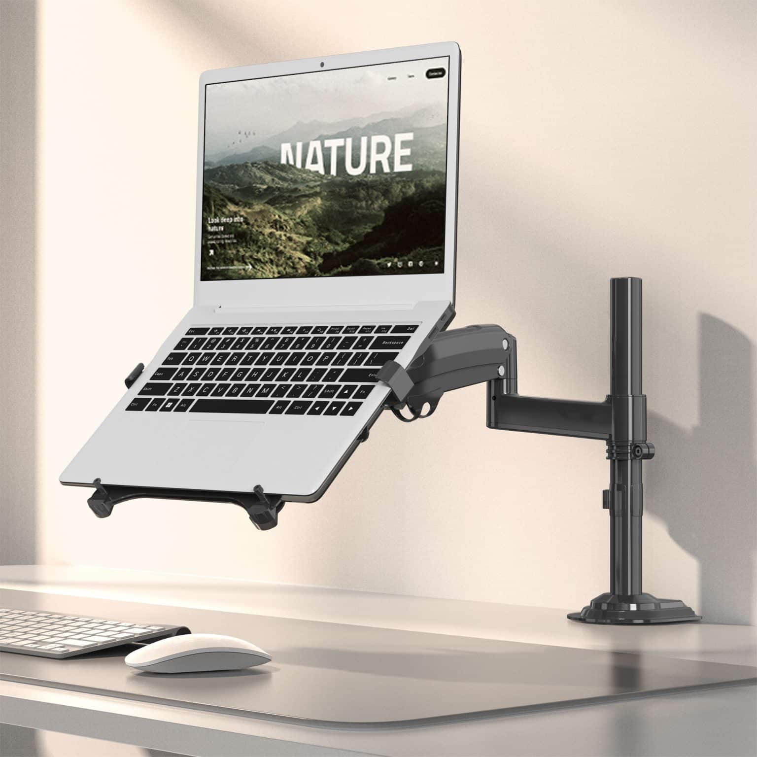 Monitor Desk Mount Arm | TV Wall Mount | North Bayou