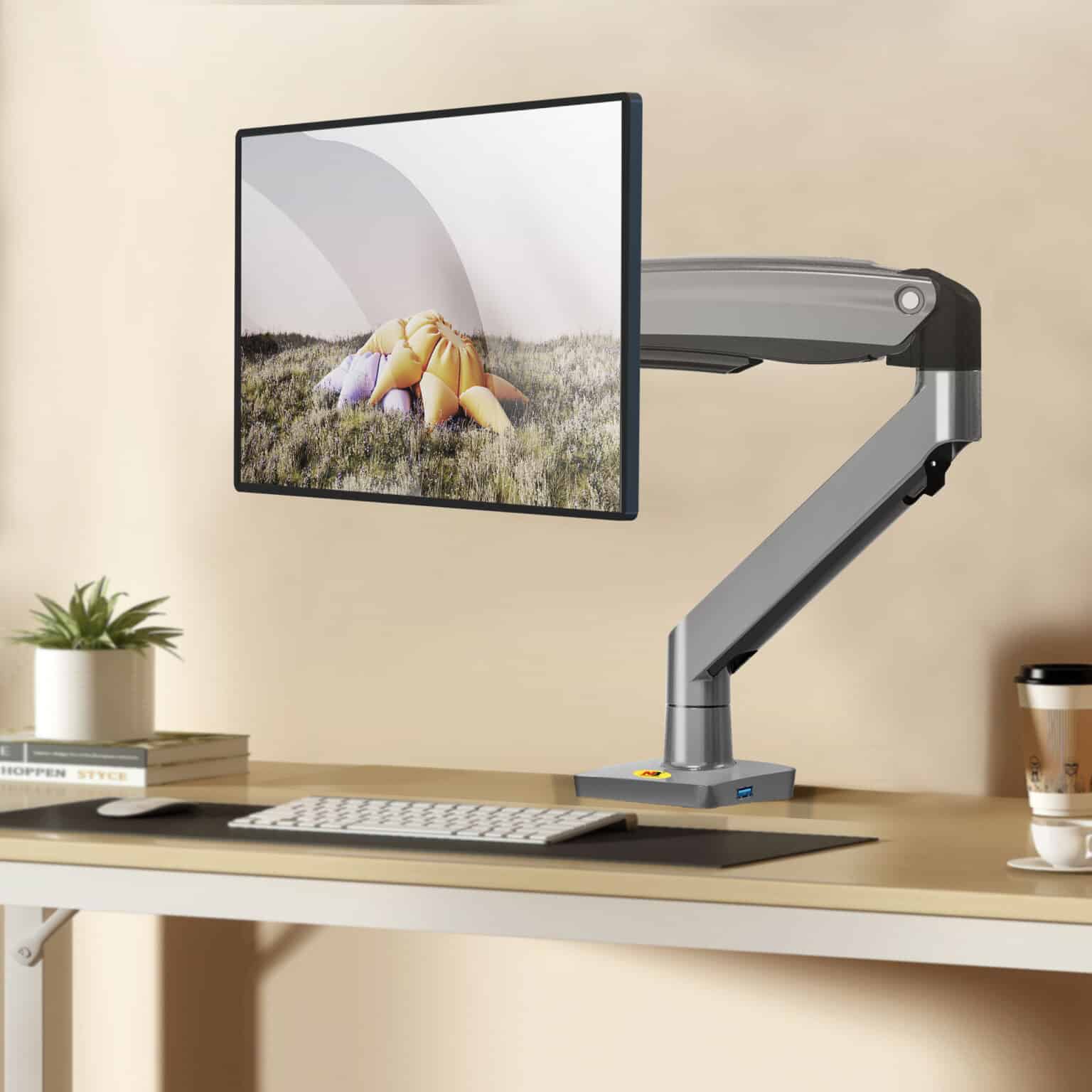 Monitor Desk Mount Arm | TV Wall Mount | North Bayou